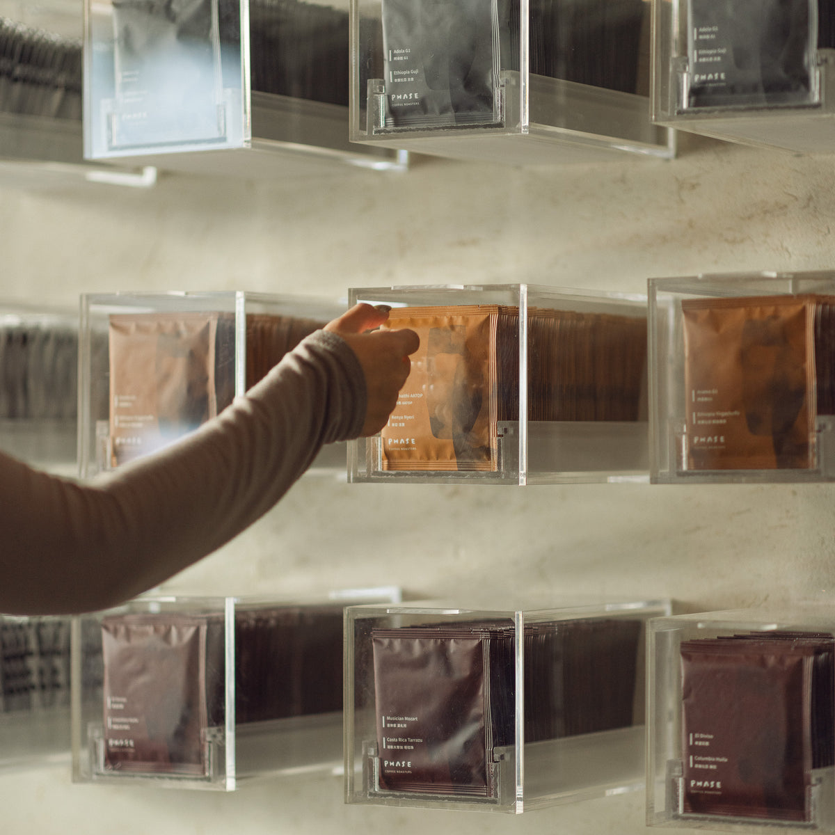 Phase Coffee Roasters – Awake Coffee