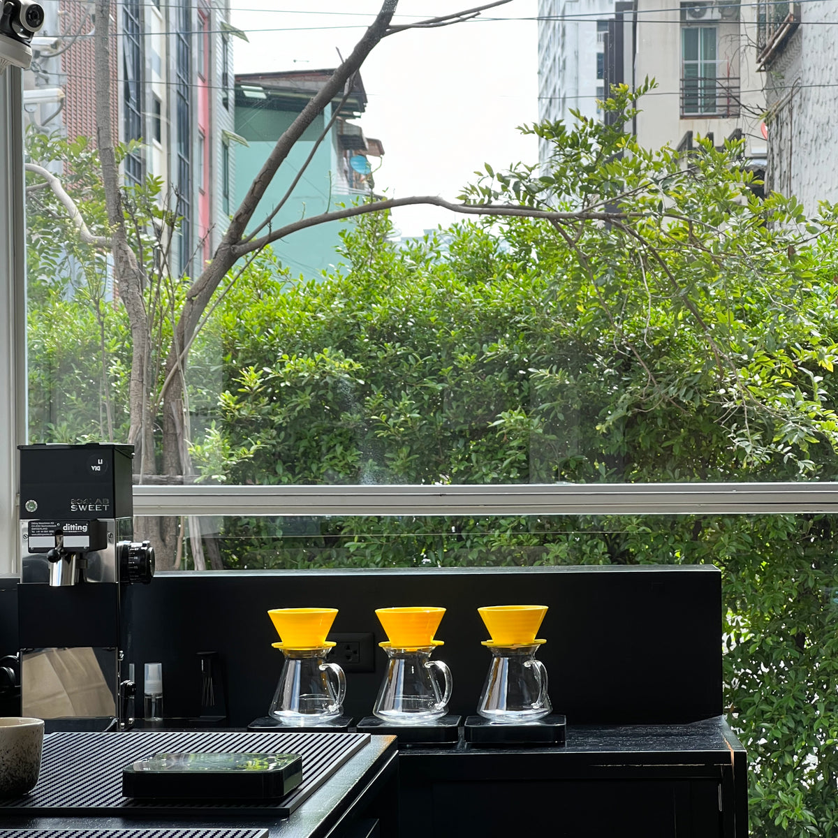 Livid Coffee Roasters – Awake Coffee